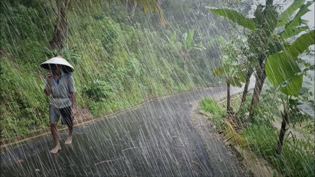 Super heavy rain and thunderstorms all day, extreme, Fall asleep ...