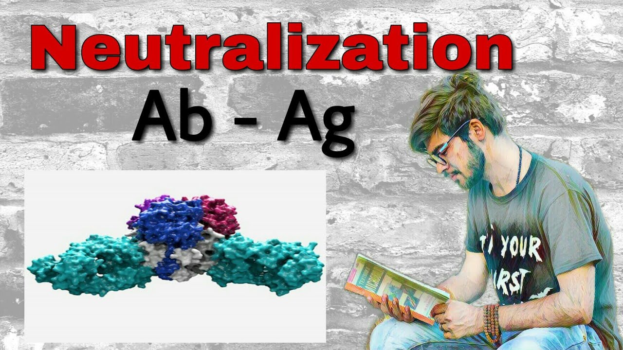 Virus / toxin Neutralization / ag ab reaction - YouTube
