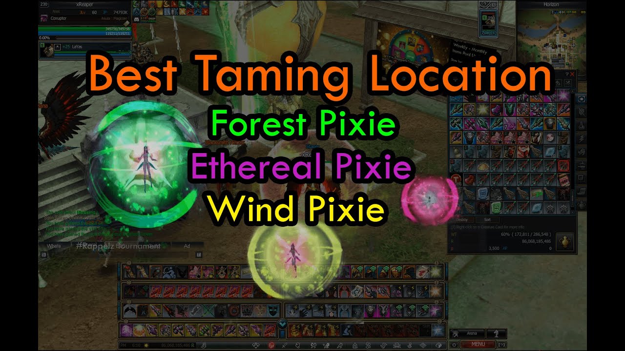 Rappelz Taming Guide 2024 - BEST Forest, Wind & Ethereal Pixie Locations! - YouTube