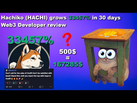 Hachiko (HACHI) Crypto Gem or Just Hype? (Web3 Developer review)