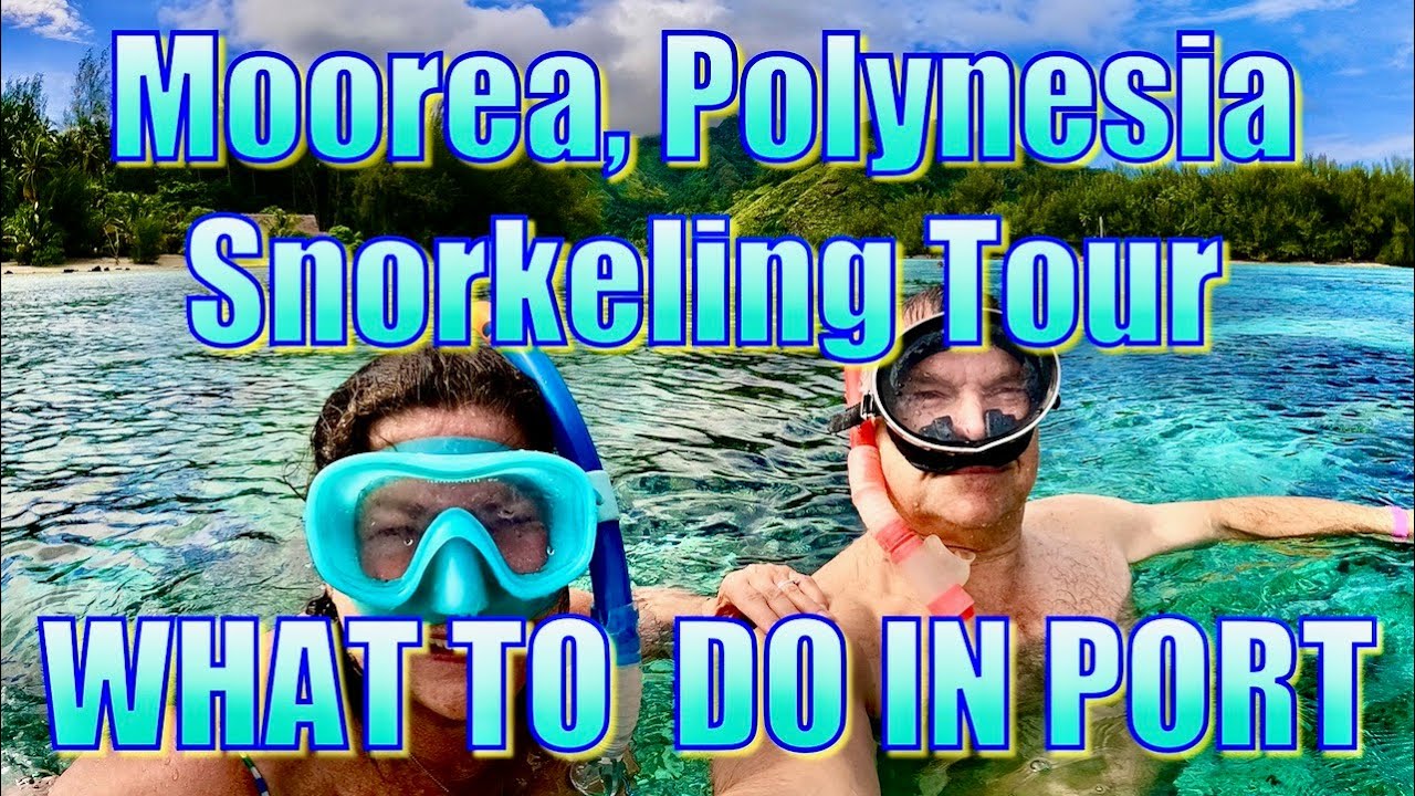 Moorea, French Polynesia - Snorkeling Tour - What to Do on your Day in ...