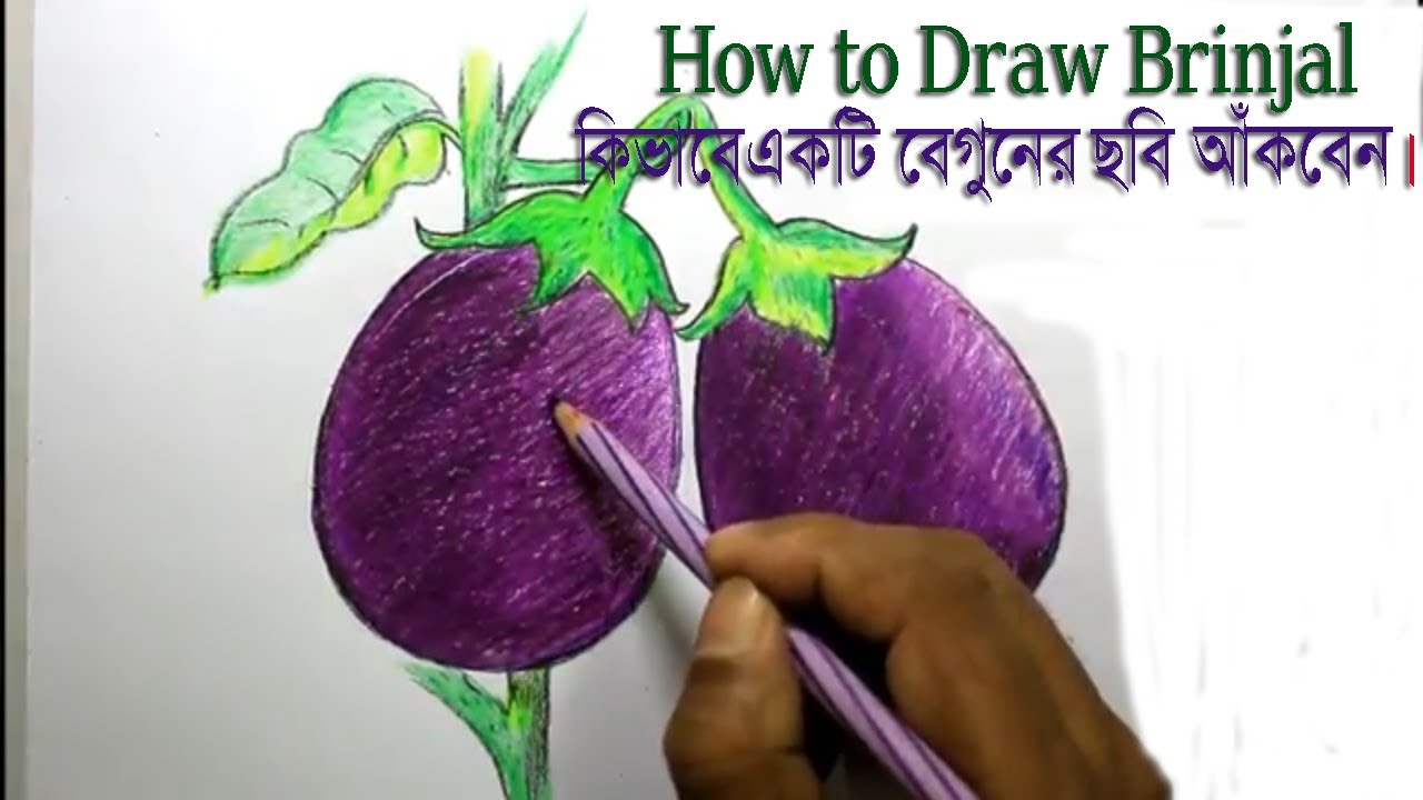 How to draw a brinjal step by step || easily drawing a brinjal | কিভাবে ...