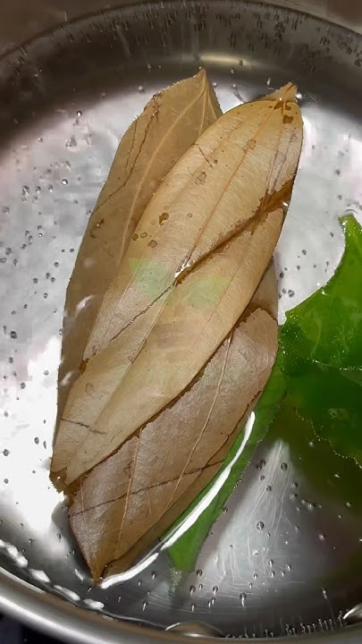 Tips Of Idukki ജലദോഷം മാറ്റും ഈ ഇല മാത്രം മതി Shorts Kitchentips
