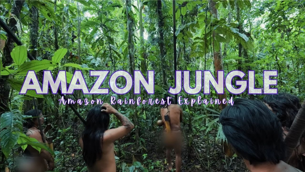 The Mysterious Amazon Jungle | Amazon Rainforest Explained | Hamza ...