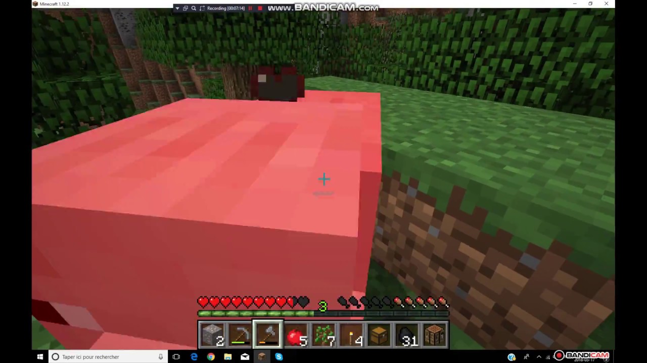 So many pigs! (minecraft survival 1#) - YouTube