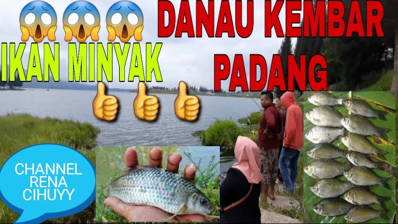 Mancing Di Padang Di Danau Atas/ Danau Kembar #18 - YouTube
