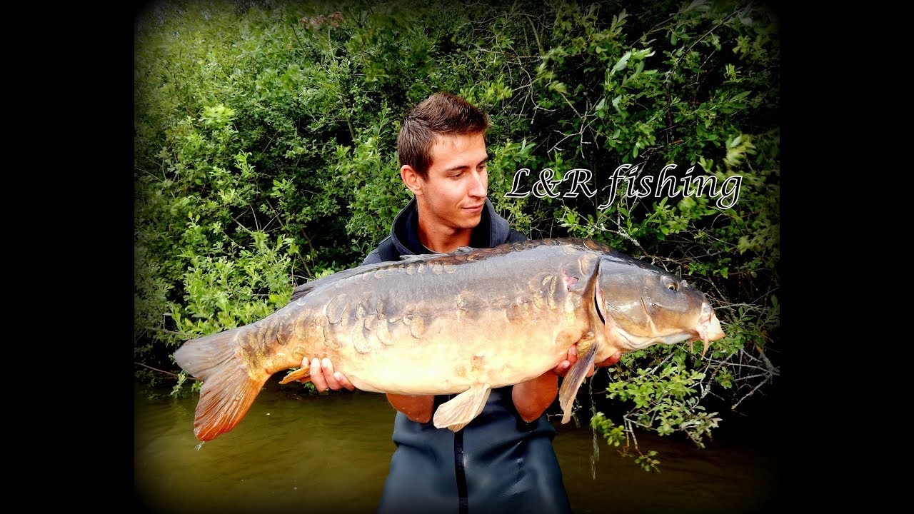 Pêche de la carpe en lac - YouTube