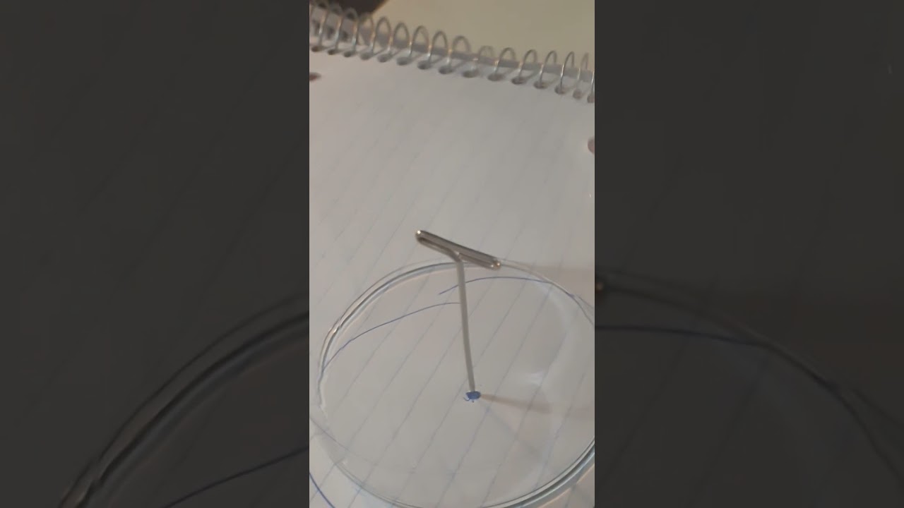 This is the craziest thing I've ever done. - YouTube