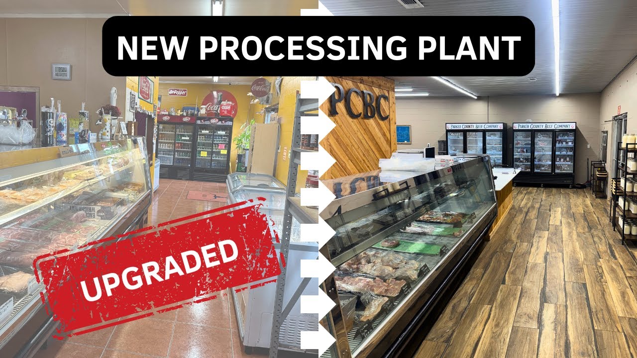 Farm to Table Beef Processing Plant Tour - YouTube