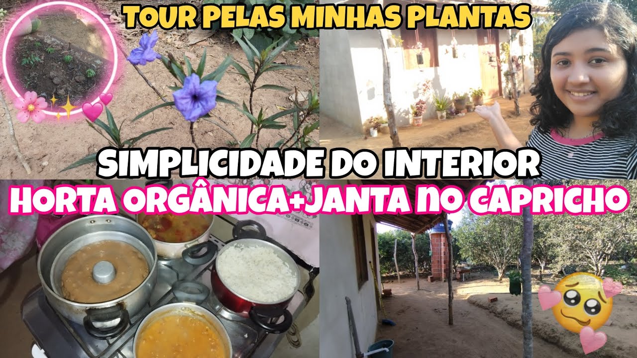 SIMPLICIDADE DO INTERIOR 🏡 HORTA ORGÂNICA+JANTA NO CAPRICHO 🌷TOUR PELAS ...