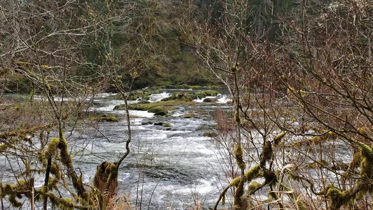 Nehalem River, Oregon - YouTube