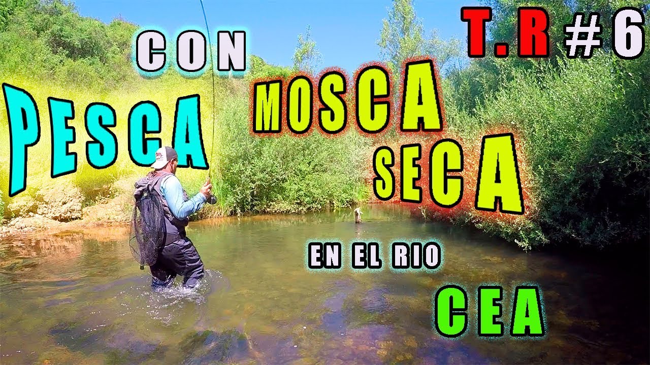 Pesca con mosca en el rio Cea (LEON) - YouTube