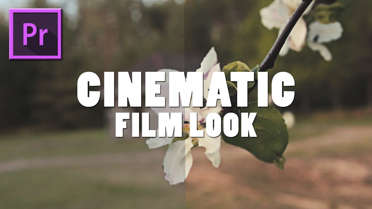 Cinematic Film Look | Adobe Premiere Pro CC Tutorial - YouTube