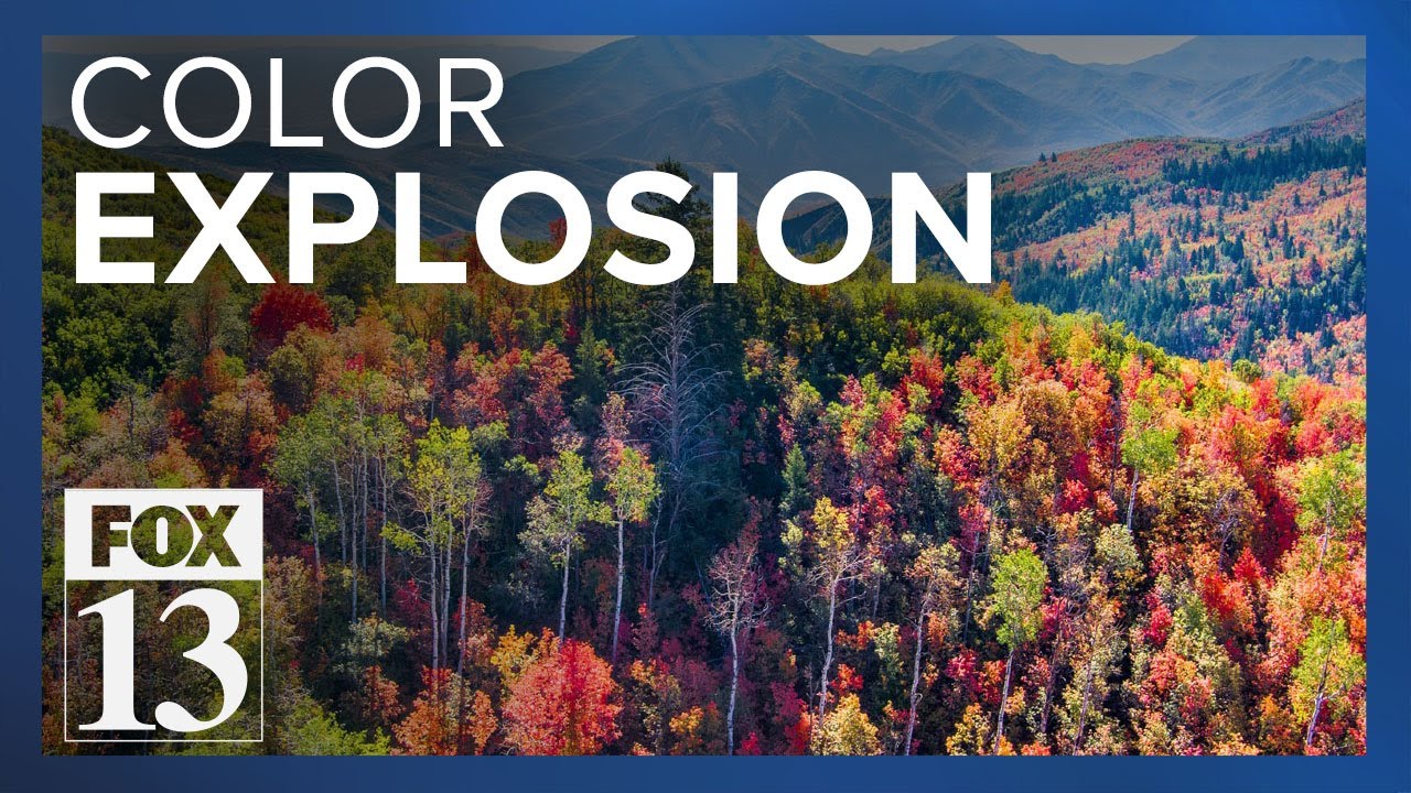 Fall leaves explode in color across Utah - YouTube