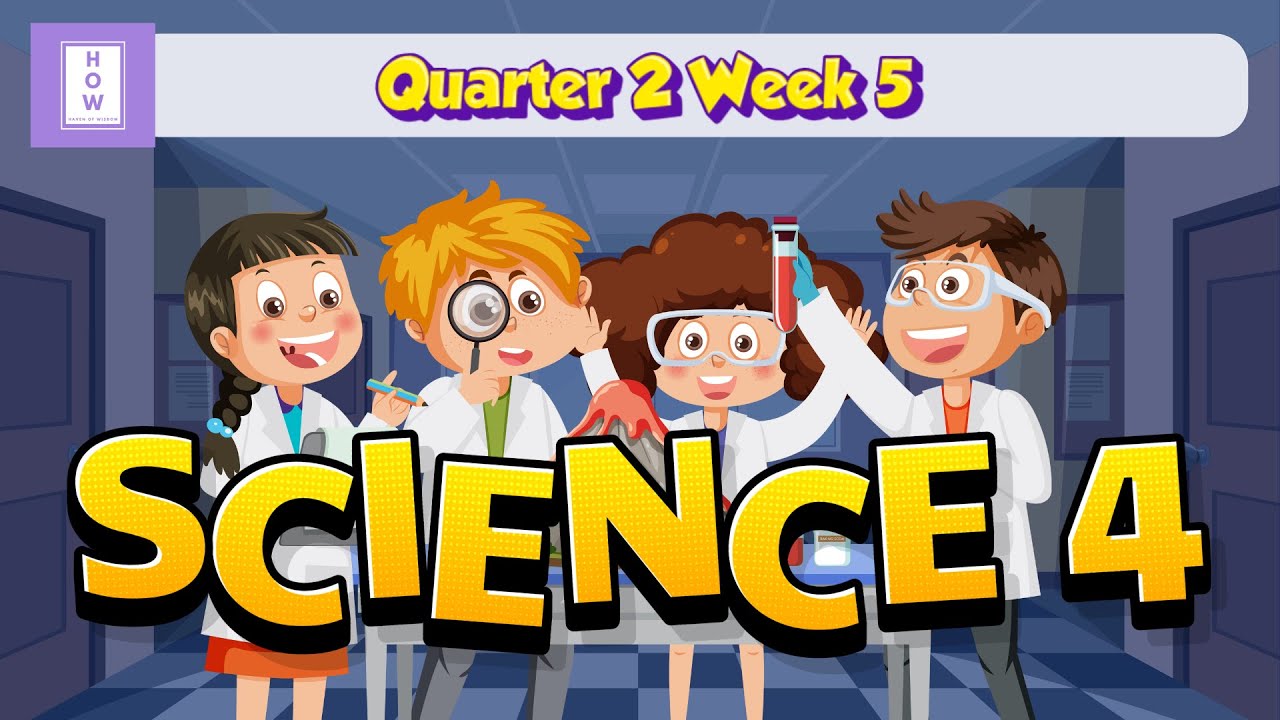 SCIENCE | Grade 4 | Quarter 2 Week 5 - YouTube
