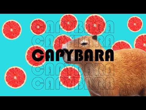 Powerpoint Presentation Capybara. - YouTube