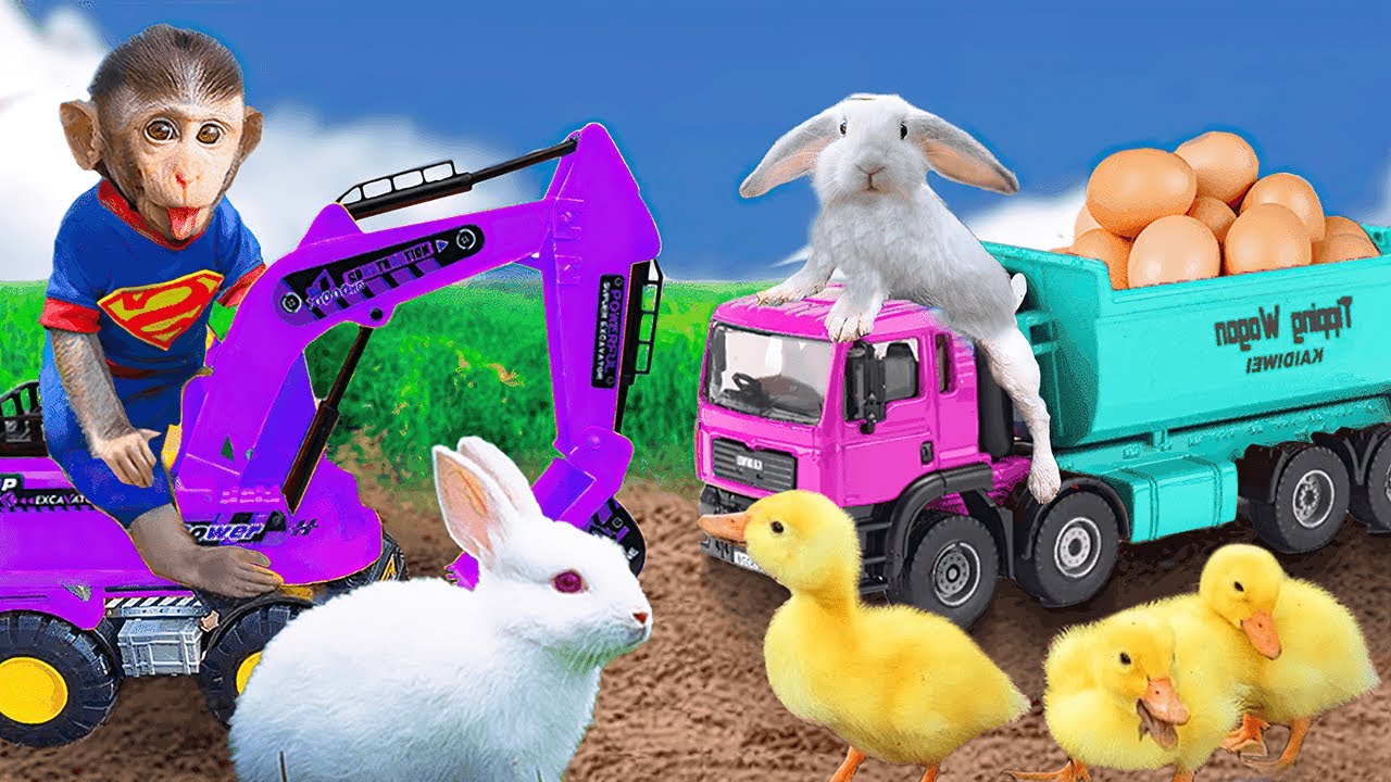 Monkey Baby Ben Ben Swimming Eel Compilation Truk, Ducklings, Poodle ...