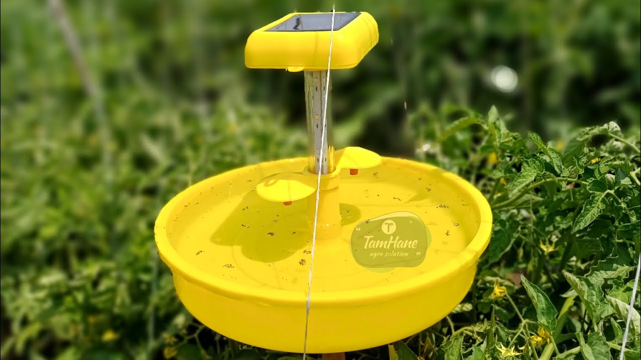 Mini Solar Insect Trap 24 Hour's Result +91 7219873718 सर्व प्रकारच्या ...