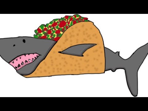Taco 🌮 shark 🦈 - YouTube
