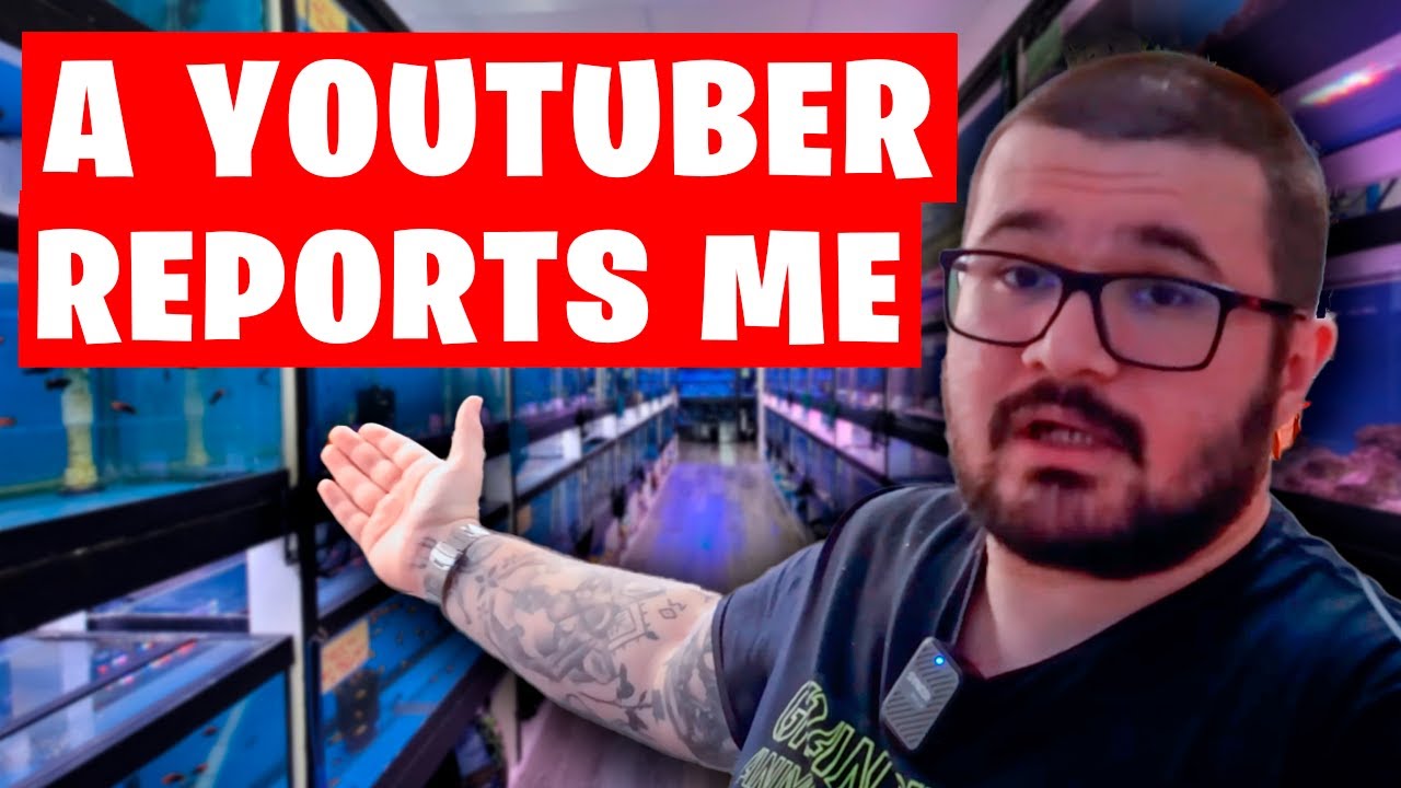 AN AQUARIUM YOUTUBER @Fish4Ever HAS REPORTED ME... - YouTube