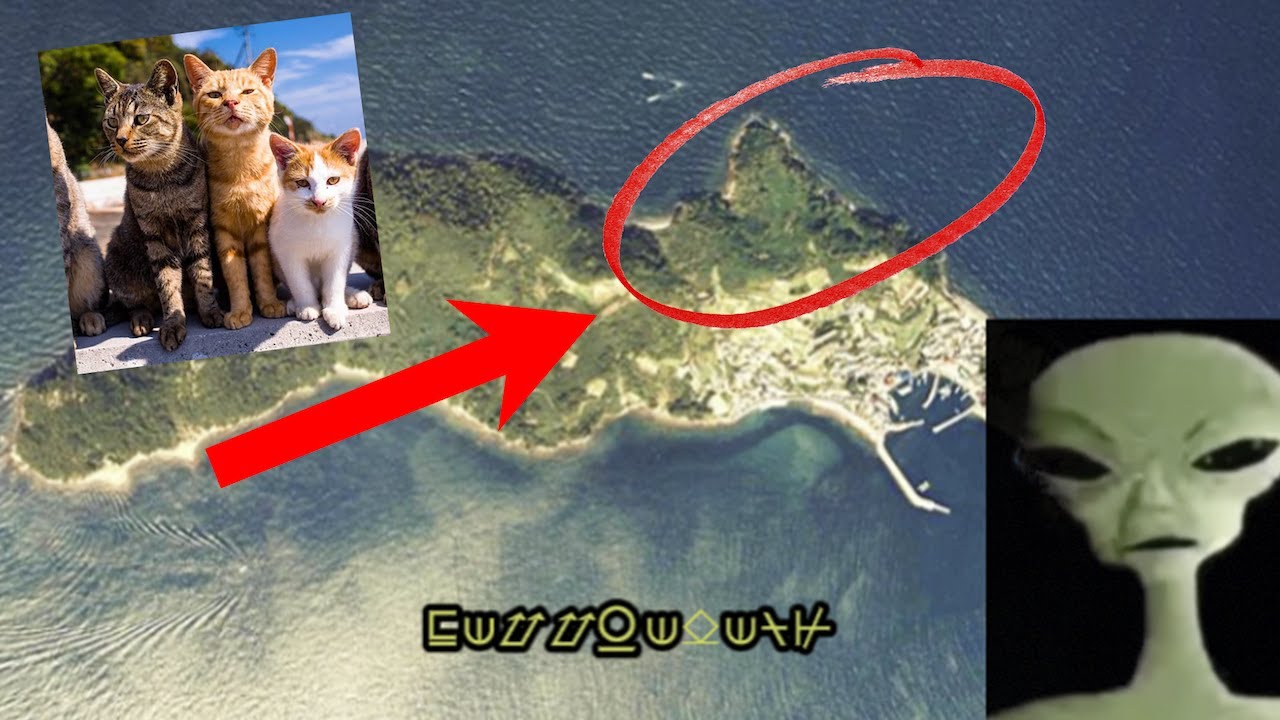 Alien Speaking Meme Cat Island - YouTube