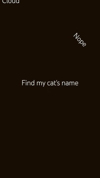 find my cat's name #answer - YouTube