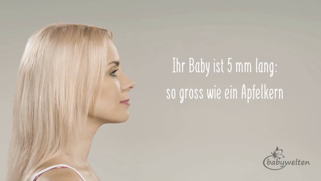 Schwangerschaft - 7. Woche (SSW 6) - YouTube