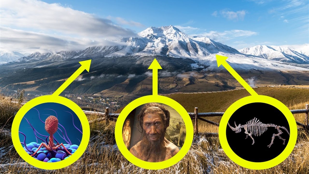 Cercetatorii Au Descoperit Ceva Ciudat In Muntii Tibet - YouTube