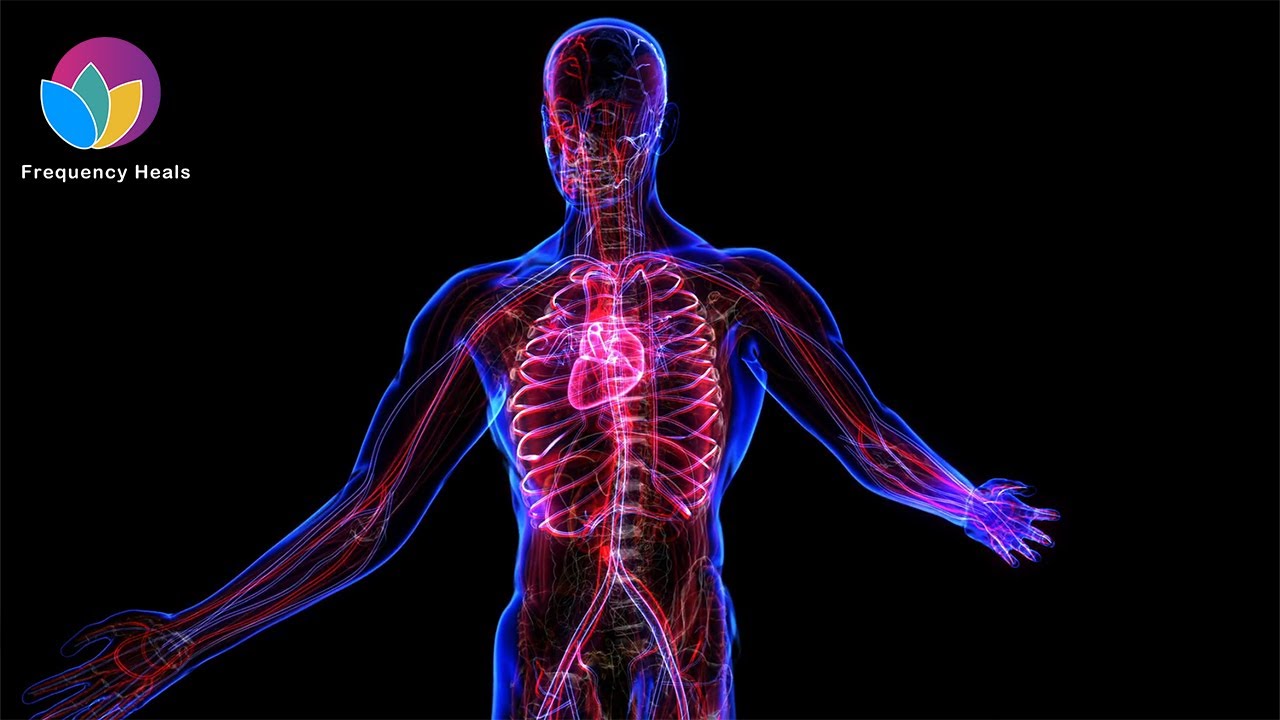 Heavy Metal Detox Frequency | Remove Toxic Metals in Your Body & Heal ...