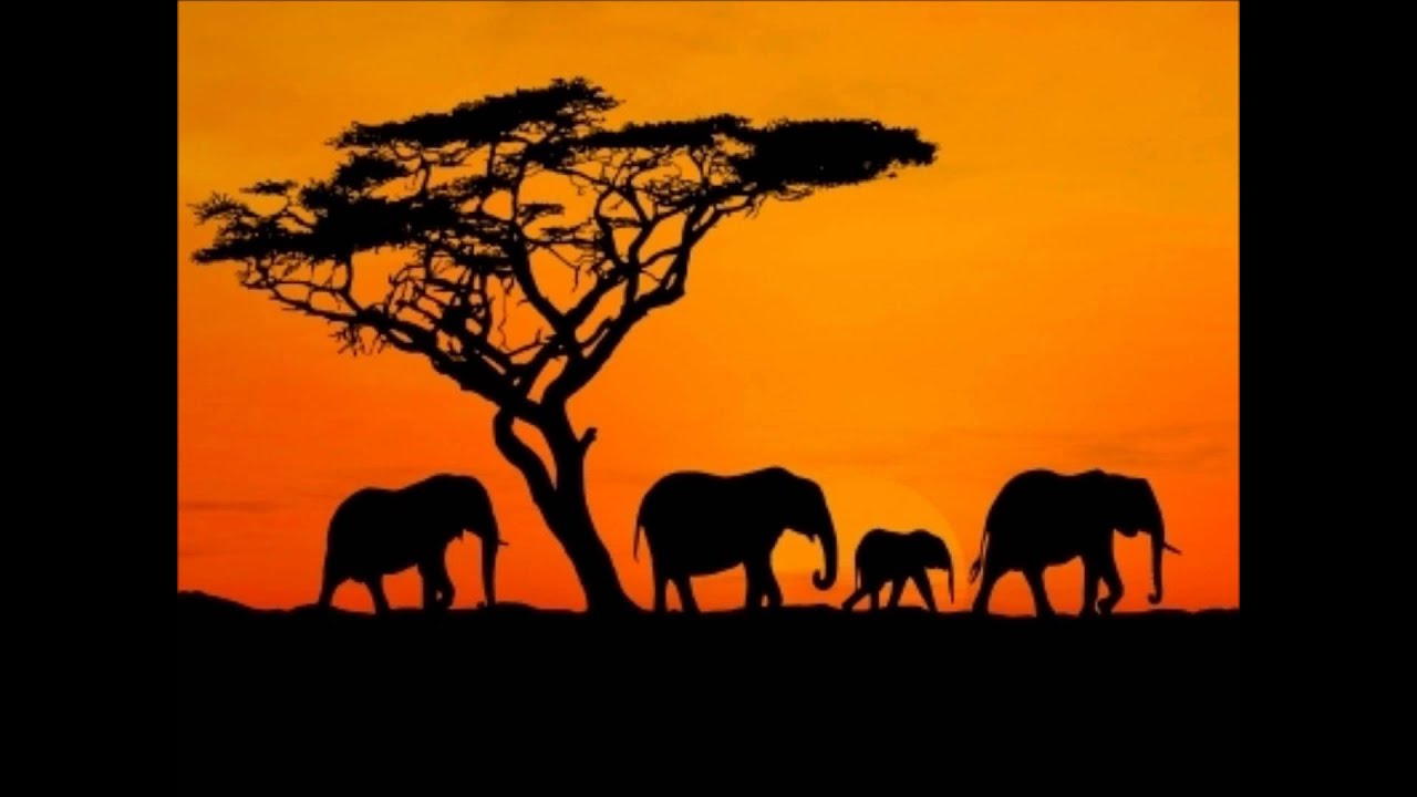 African Wind - YouTube