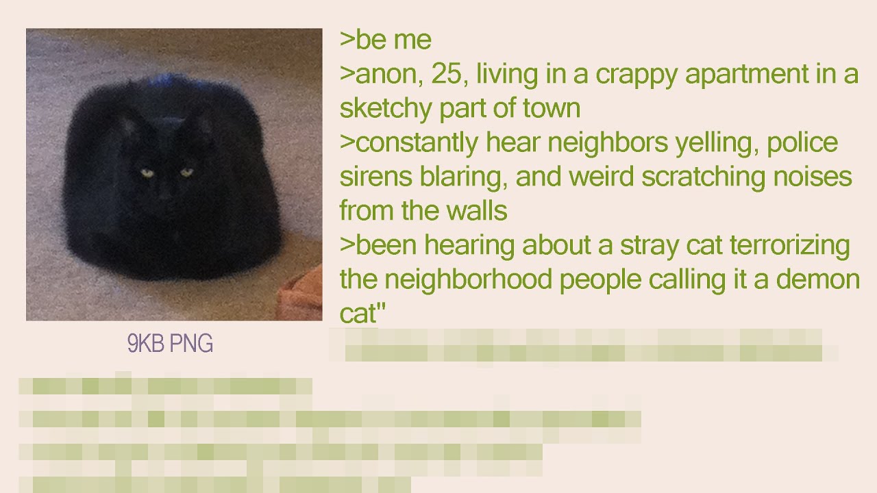 Anon Adopts the ‘Demon Cat’ of the Neighborhood | 4Chan Greentext ...