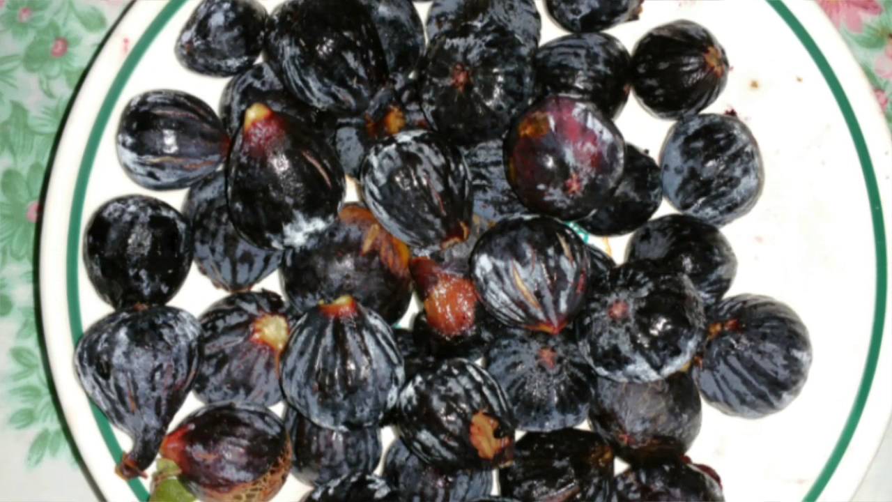 ENZO LAFACE - A FICA MULINGIANA - YouTube