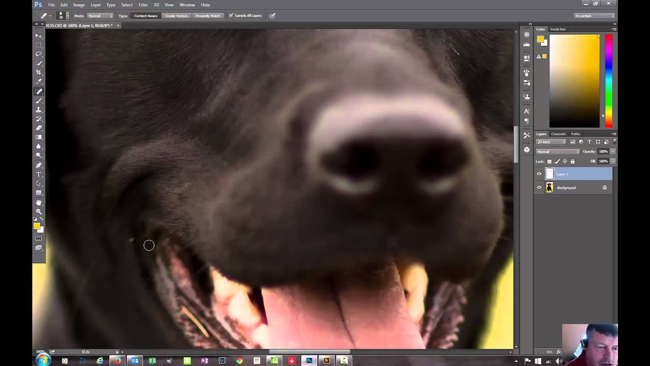 Dog photo edit - YouTube