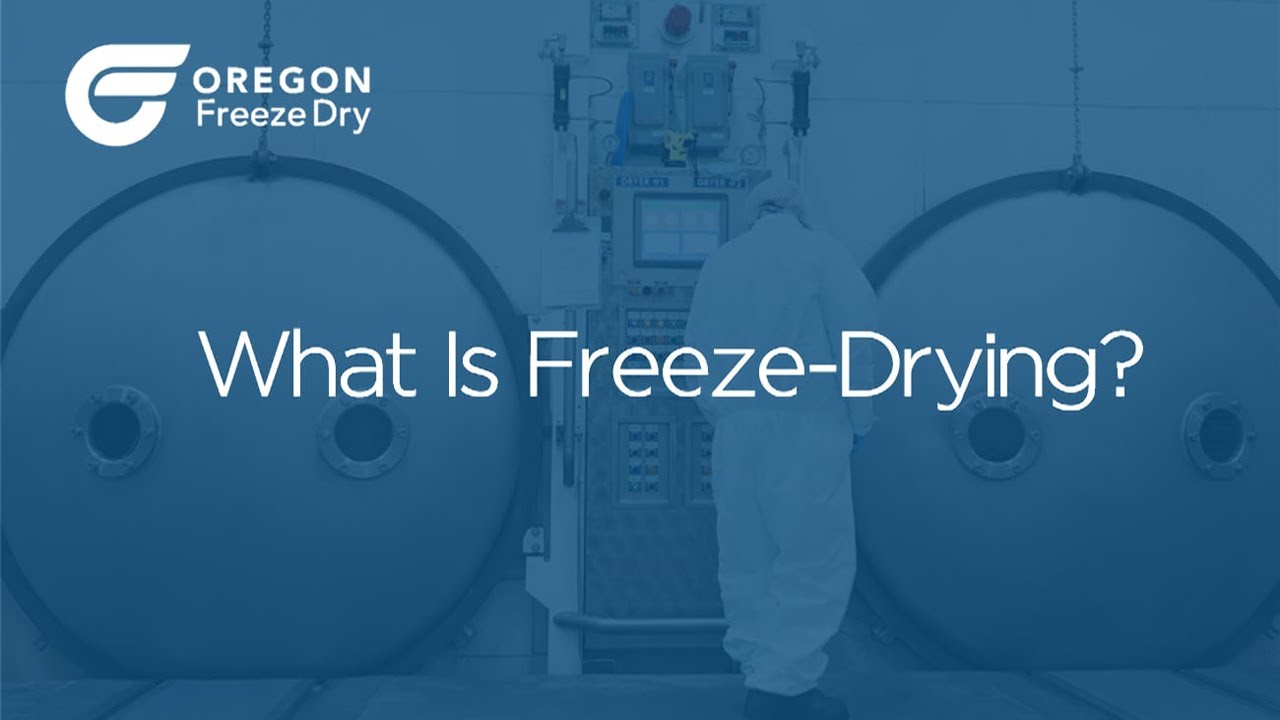 What Is Freeze-Drying? - YouTube