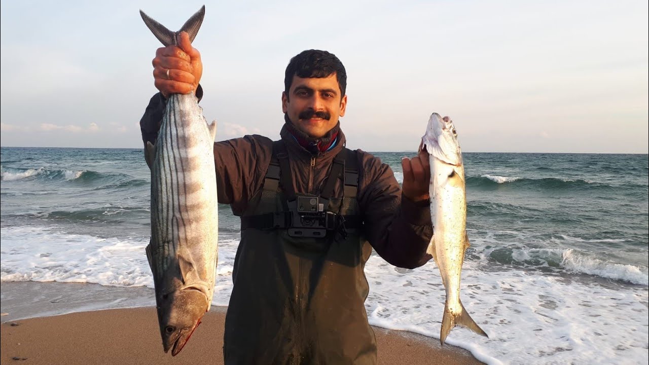 SPİN İLE LÜFER VE TORİK BALIK AVI - YouTube