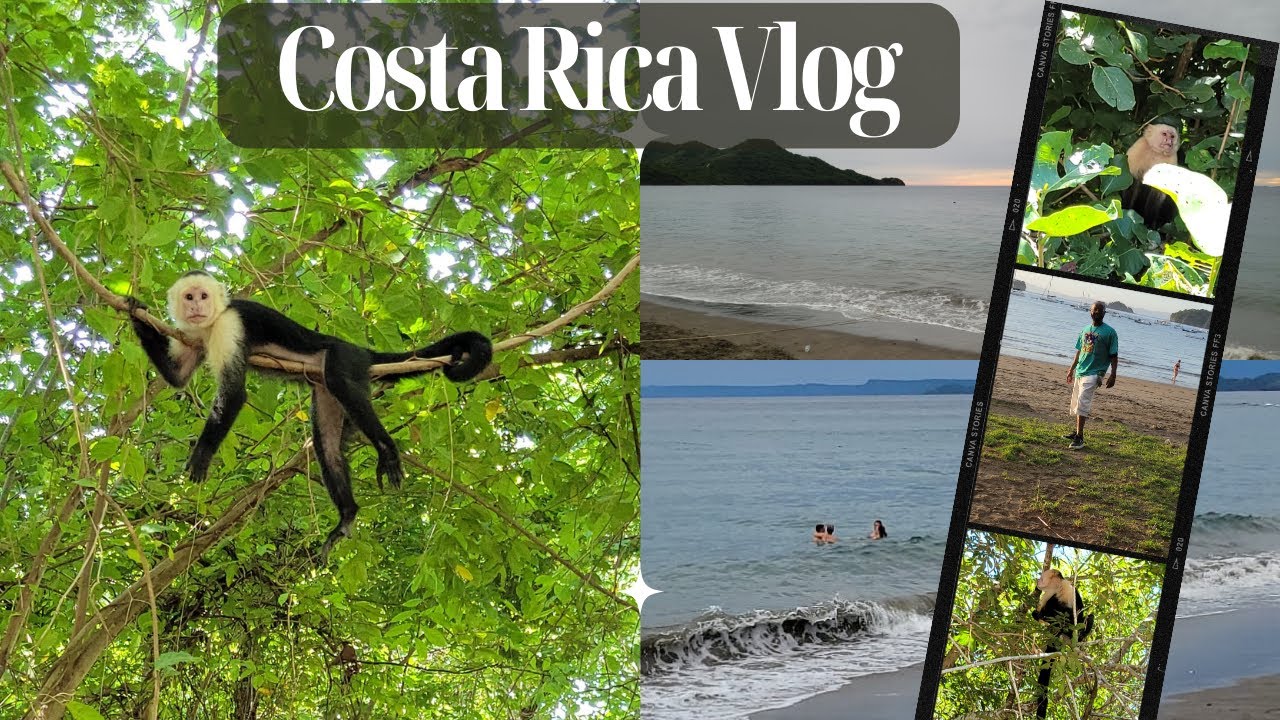 Costa Rica Wildlife Adventure: Up Close with White-Faced Capuchin ...