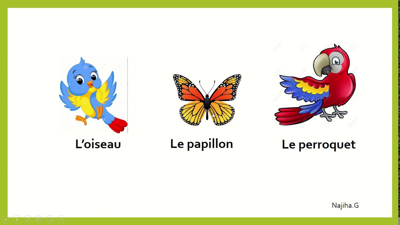 EB1 Sciences ou vivent les animaux ? - YouTube