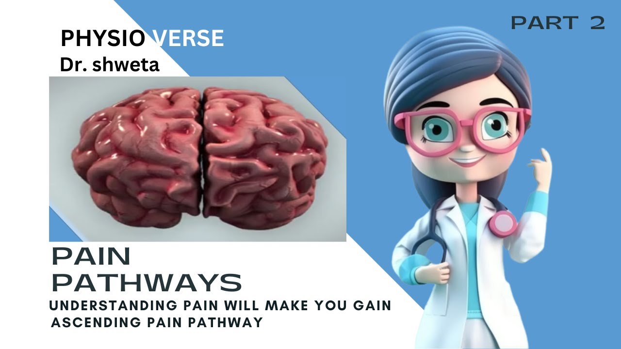 Pain Pathway | Ascending Pain Pathway| Role of higher centers - YouTube