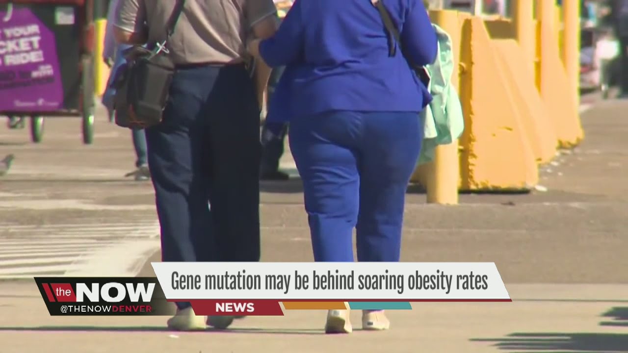 Gene mutation may be behind soaring obesity rates - YouTube