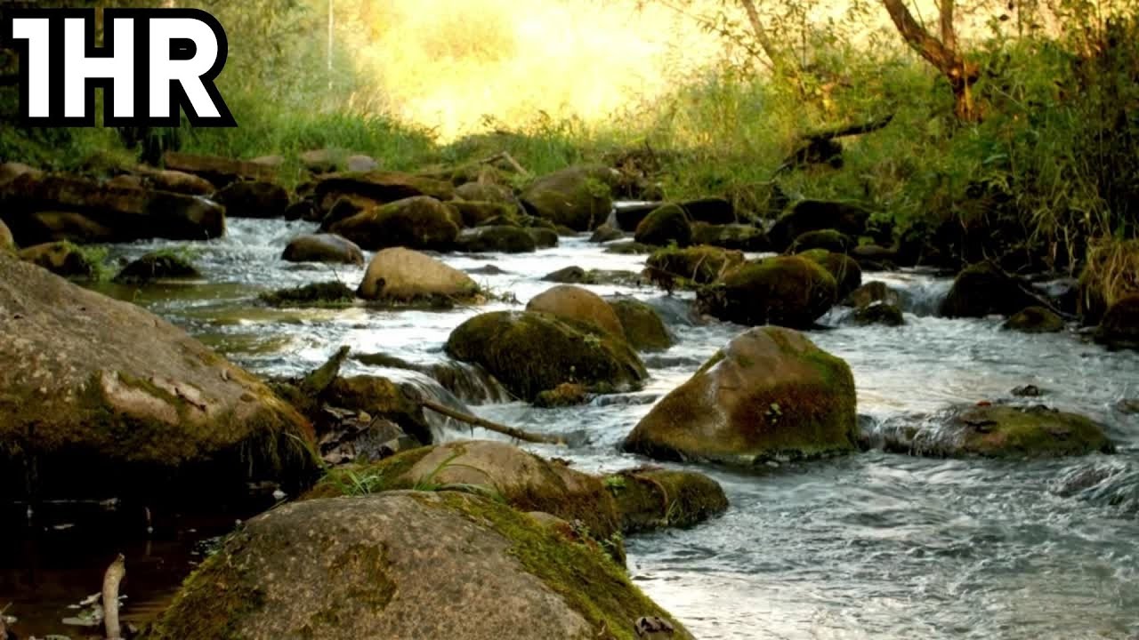 Relaxing Creek Sounds v3 - 1 hour - YouTube