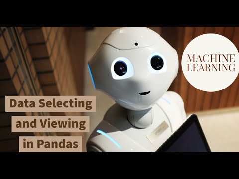 How to view data with pandas | Head() and Tail() in Pandas | loc() and ...