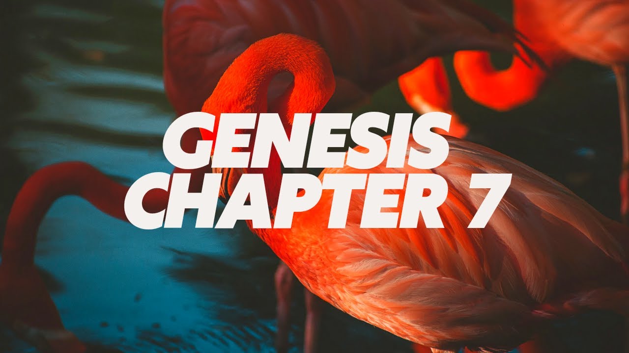 GENESIS | Chapter 7 - YouTube