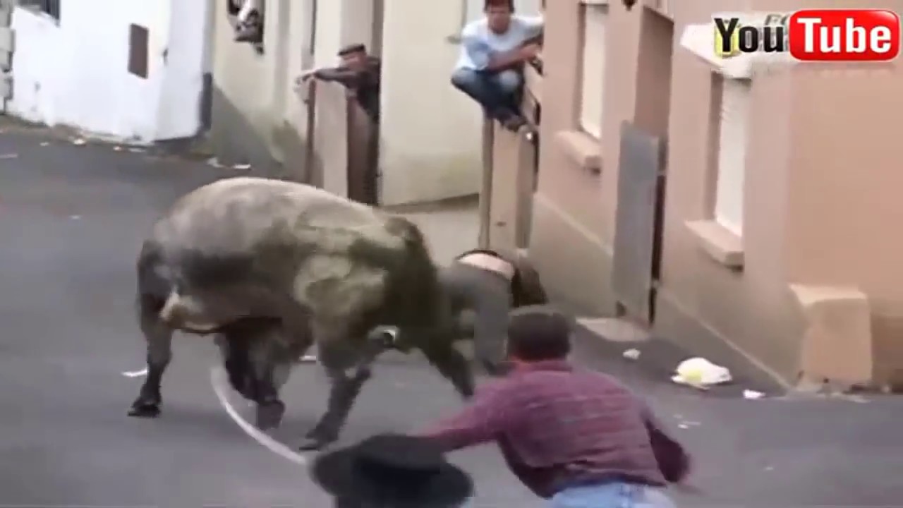 Best funny videos 2017 Most awesome bullfighting festival funny crazy ...