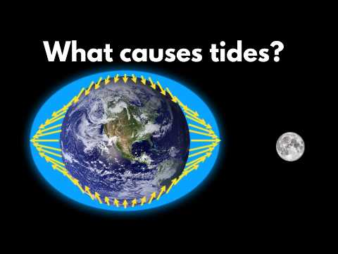 The tides | Middle school Earth and space science | Khan Academy