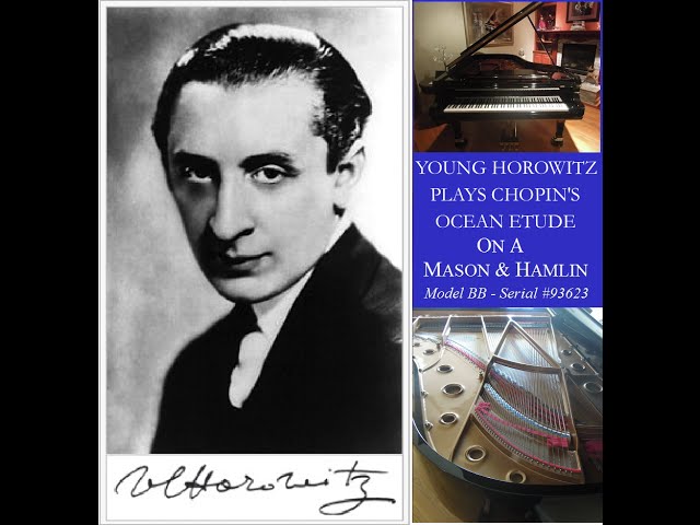Vladimir Horowitz Young