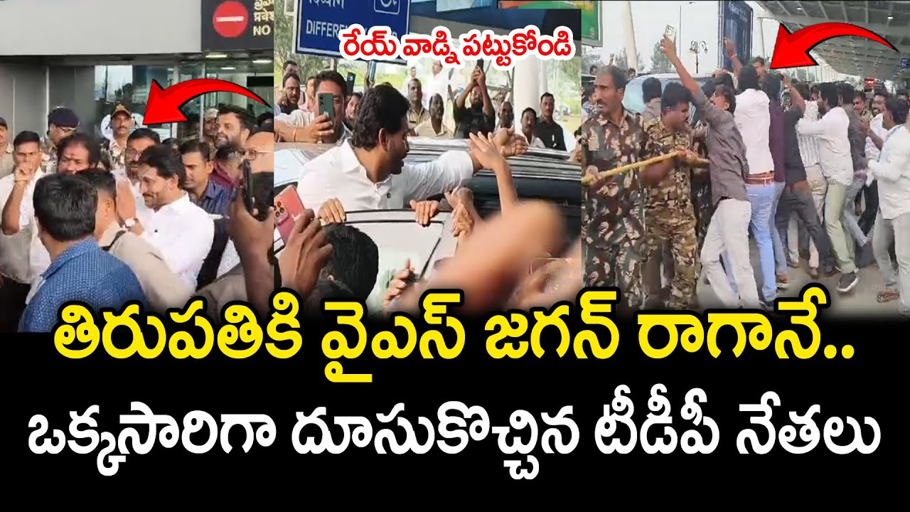 TDP Crowd In Front Of YS Jagan Walking At Tirupati Airport : PDTV News ...