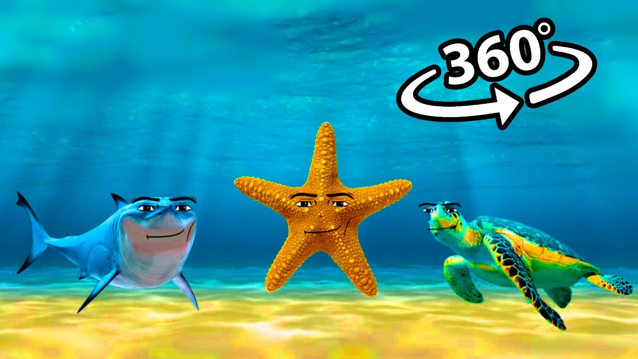 360º VR Oceanic gegagedigedagedago (part 2) №75 #360 #360video # ...