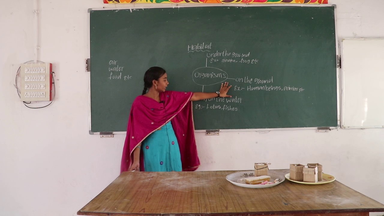 Habitat | What are the three types of Habitats ? - YouTube
