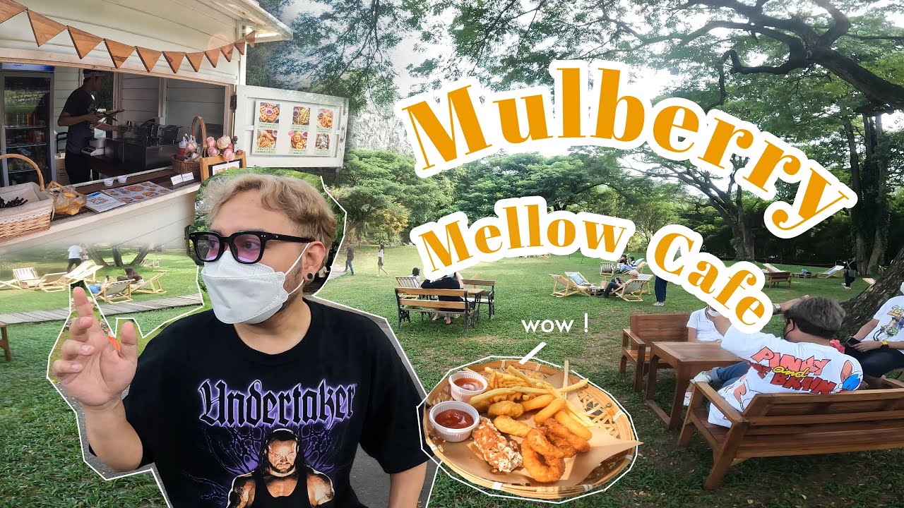 คาฟงคาเฟ่ EP.2 Mulberry Mellow Cafe คาเฟ่ธรรมชาติกลางหุบเขา!┃MKOSSOx ...