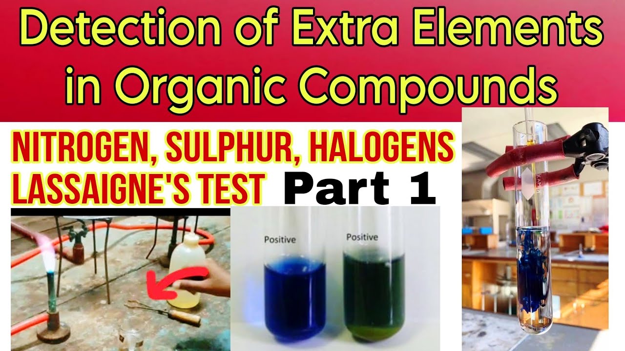 Detection of Extra Elements in Organic Compounds- Chemistry Practical ...